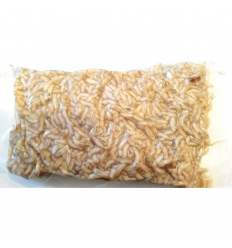 Vakumuotos musės lerva - gloomis.lt